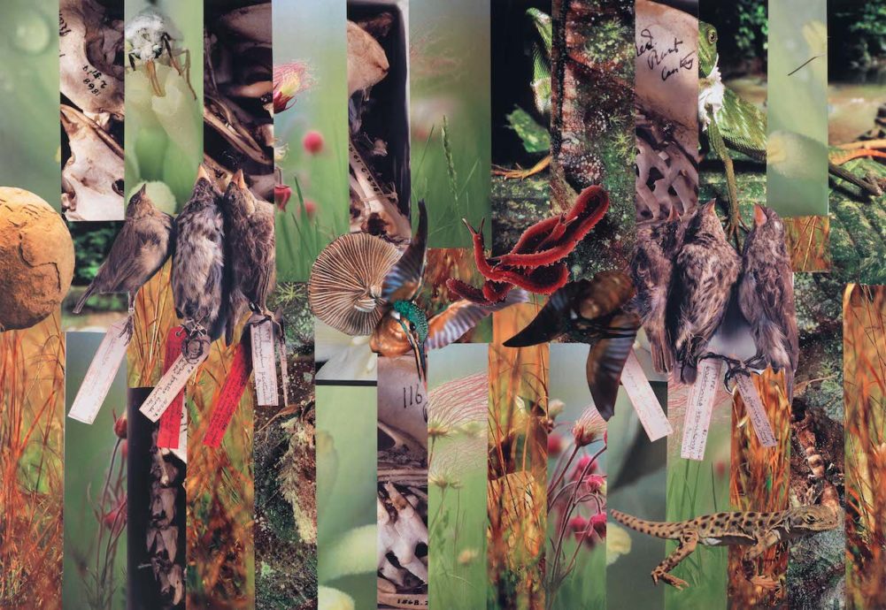 Zeitgeist | Kreativ und gelassen durch die Krise - mit Dr. Kerstin Gernig