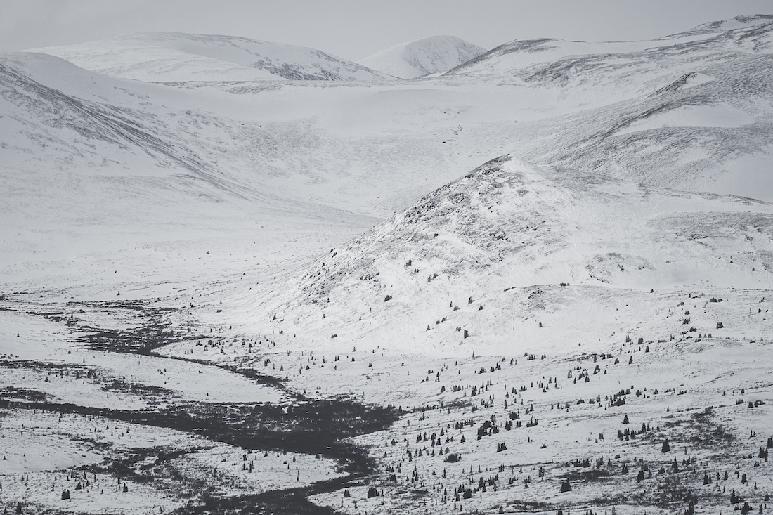 Artists on the go | Artists Sophie Mutlu and Peter Zenkl in Yukon, Canada